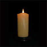 Electric Candle Company